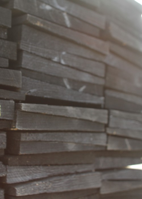 Gallery | Landguard Point