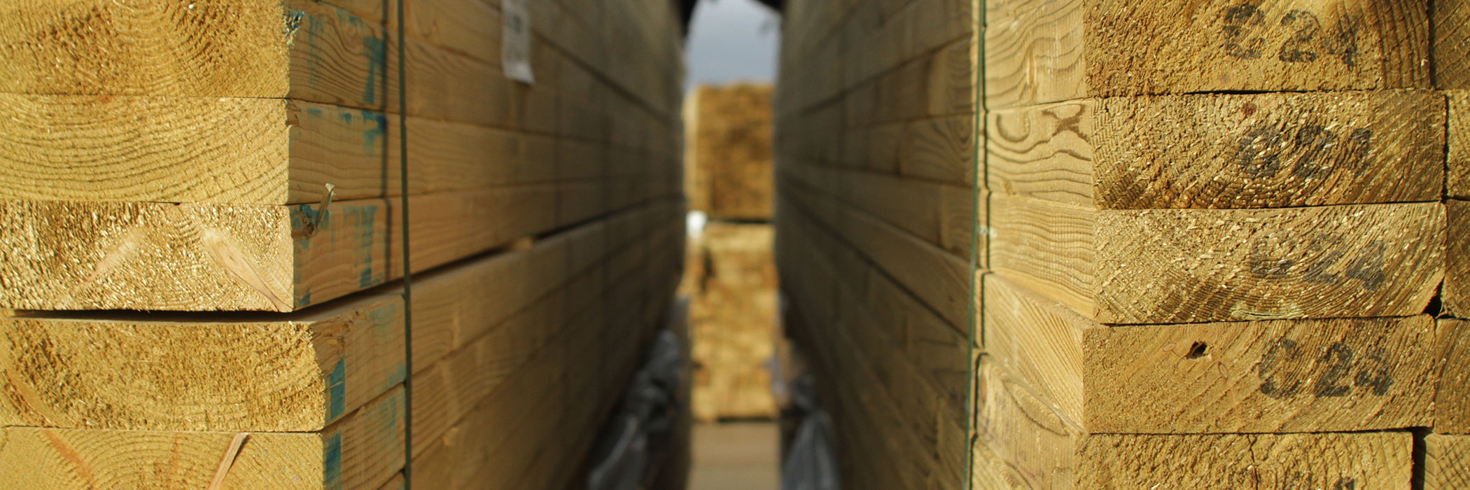 Imported Quality Carcassing | Landguard Point