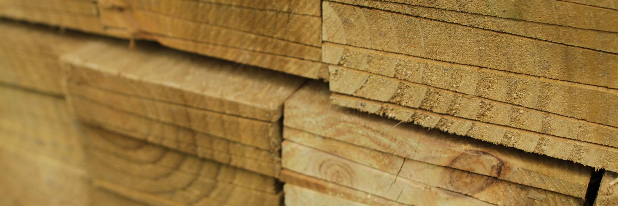 Feather Edge Fencing | Landguard Point